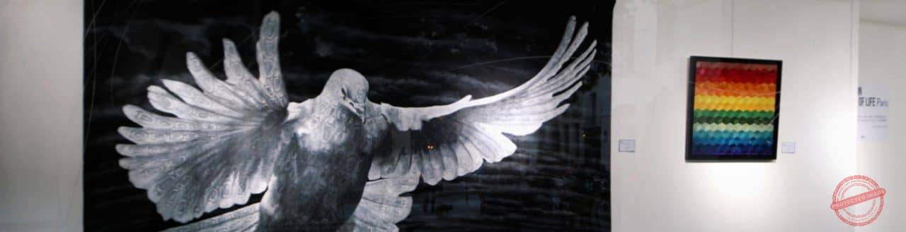 Focus Art Fair | info & insights | artfairmag.com