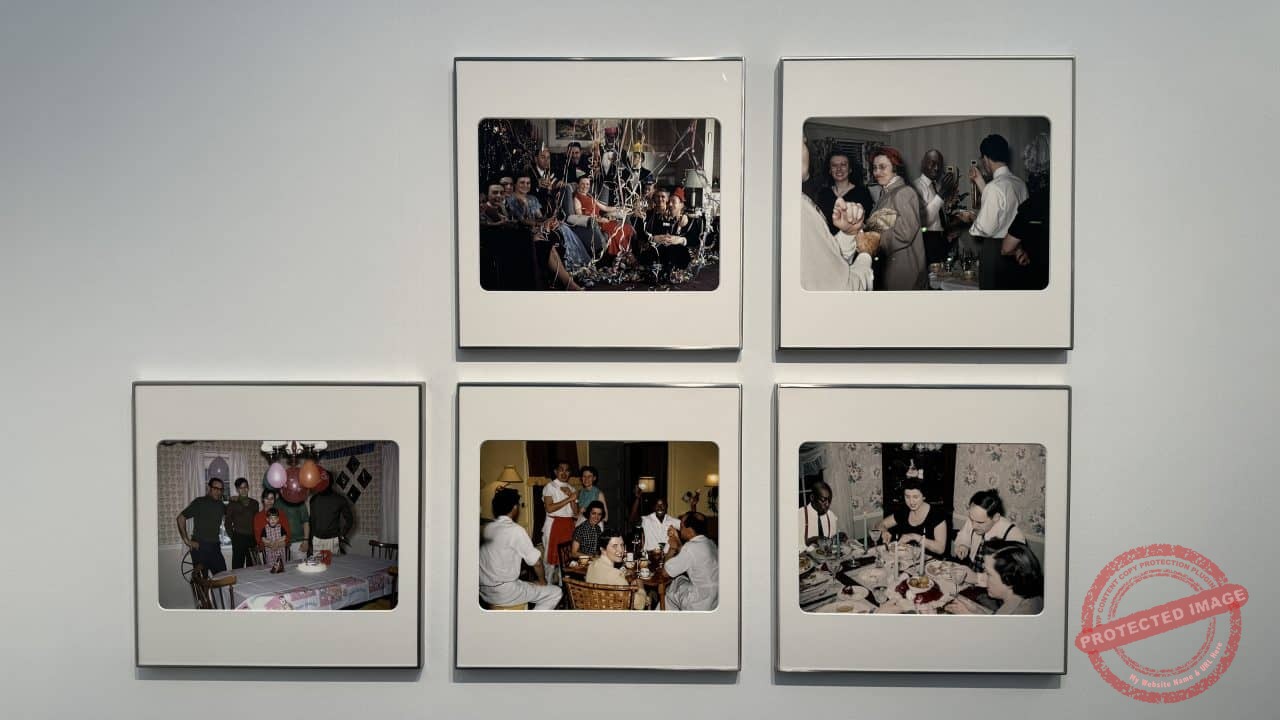 Photo London Roars Back with Its 9th Edition | artfairmag | Art Fair ...